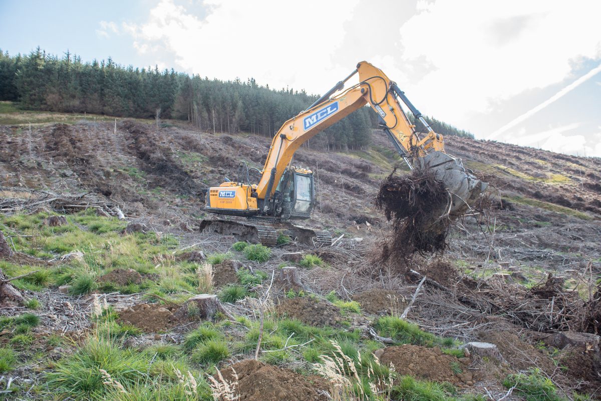Forestry Services | Armstrong Group